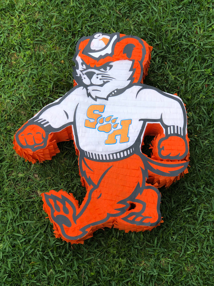 Wild Corazon custom personalized piñatas in Houston Texas – Wild ...